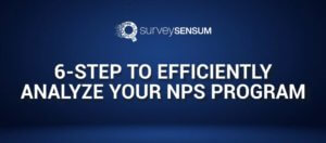 Analyze Your NPS Program: 6 Efficient Steps
