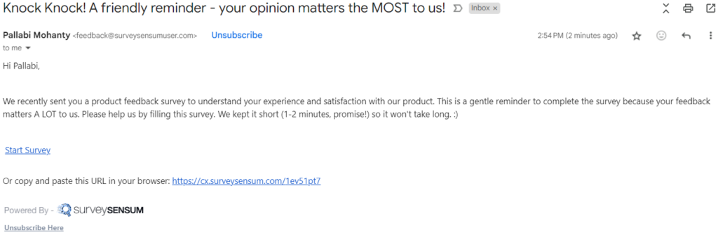 12 Survey Email Template For A Personalized Touch